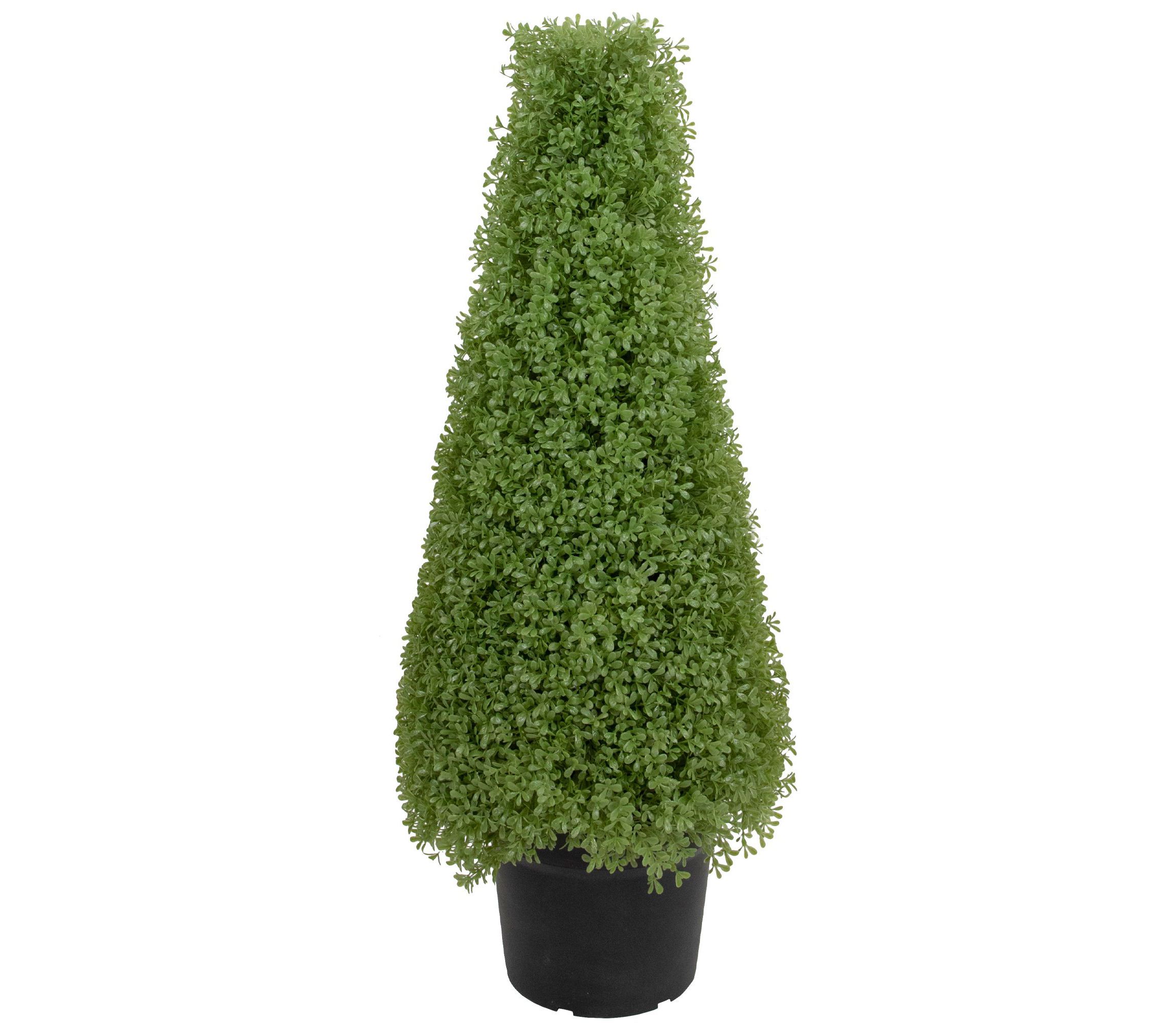 Northlight 3' Artificial Boxwood Cone Topiary Tree with Round Pot Unlit ...
