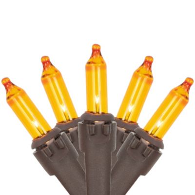 Northlight 50-Count Amber Mini Fall Harvest Lights 10ft Brown Wire | belk