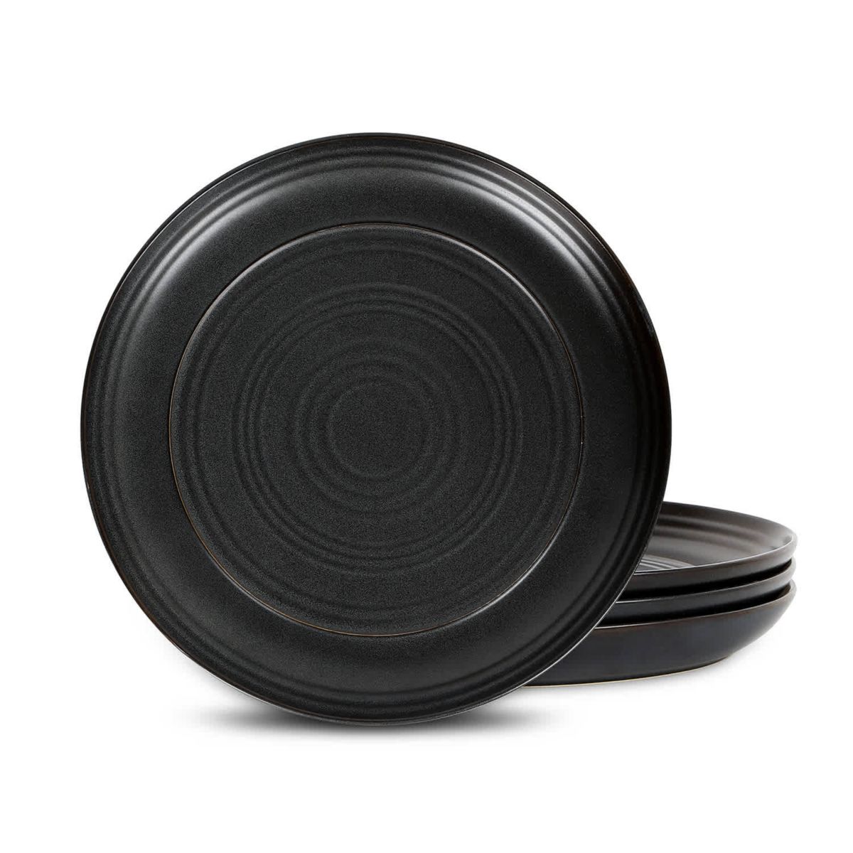 Stone Lain Elio 4 pcs Dinner Plate Set | Belk