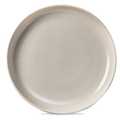 tag Loft Speckled Reactive Glaze Stoneware Dinnerware Plate 11.25 inch ...