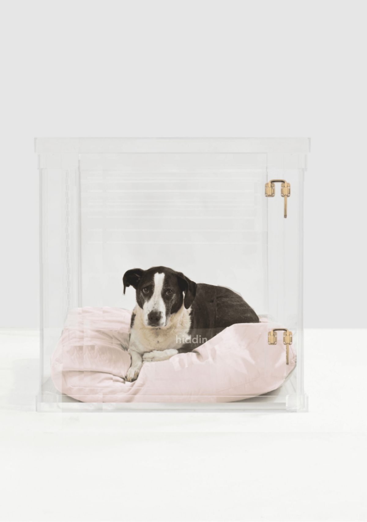 hiddin Large Clear View Pet Crate with Gold Latch | Belk