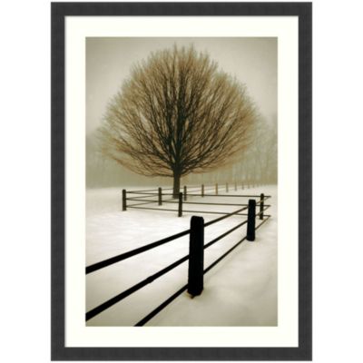 Amanti Art Solitude Framed Wall Art Print | belk