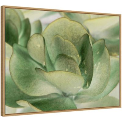 Amanti Art Petal I Framed Canvas Wall Art Print | belk