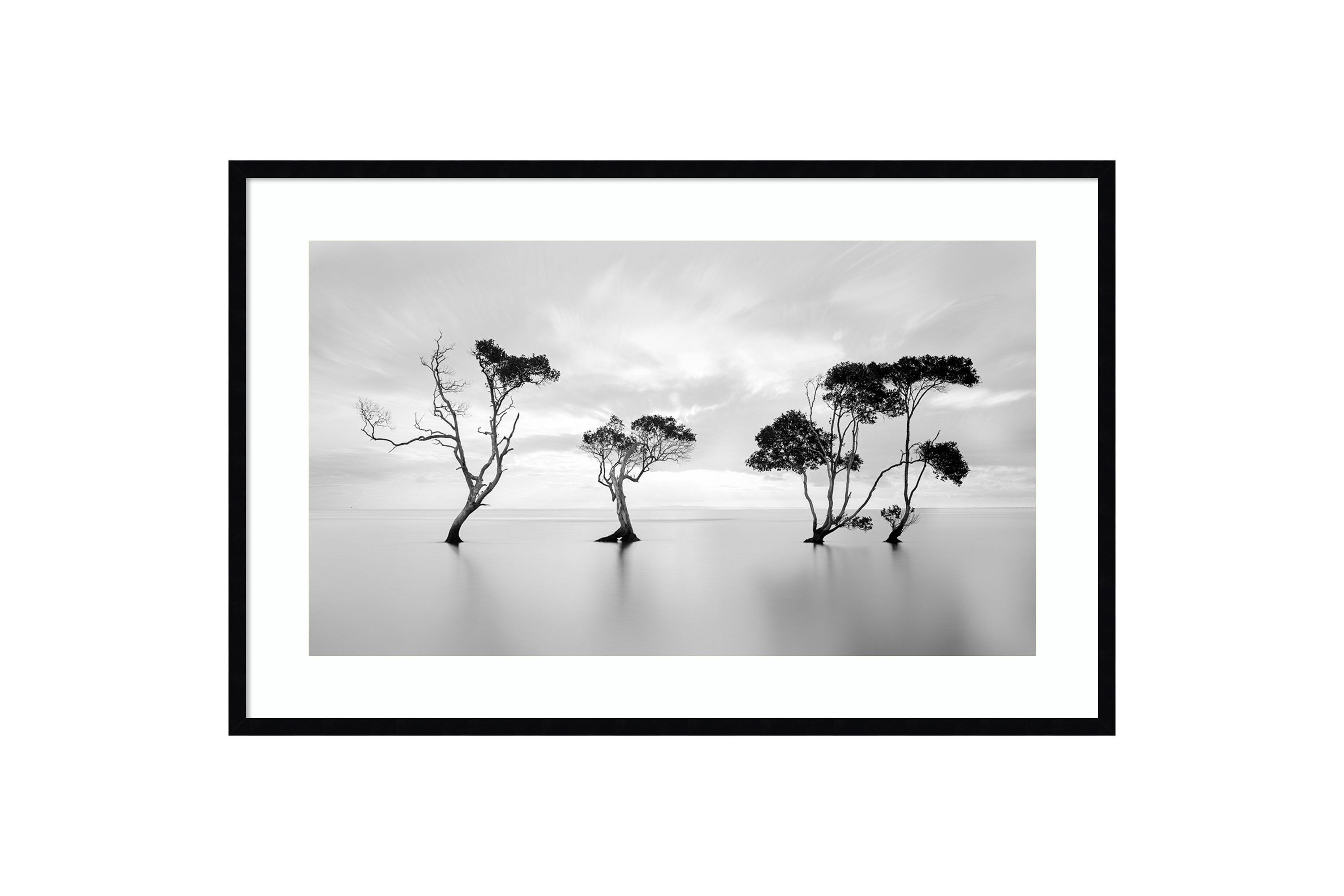 Amanti Art Waving Trees by Steven Fudge Wood Framed Wall Art Print | Belk
