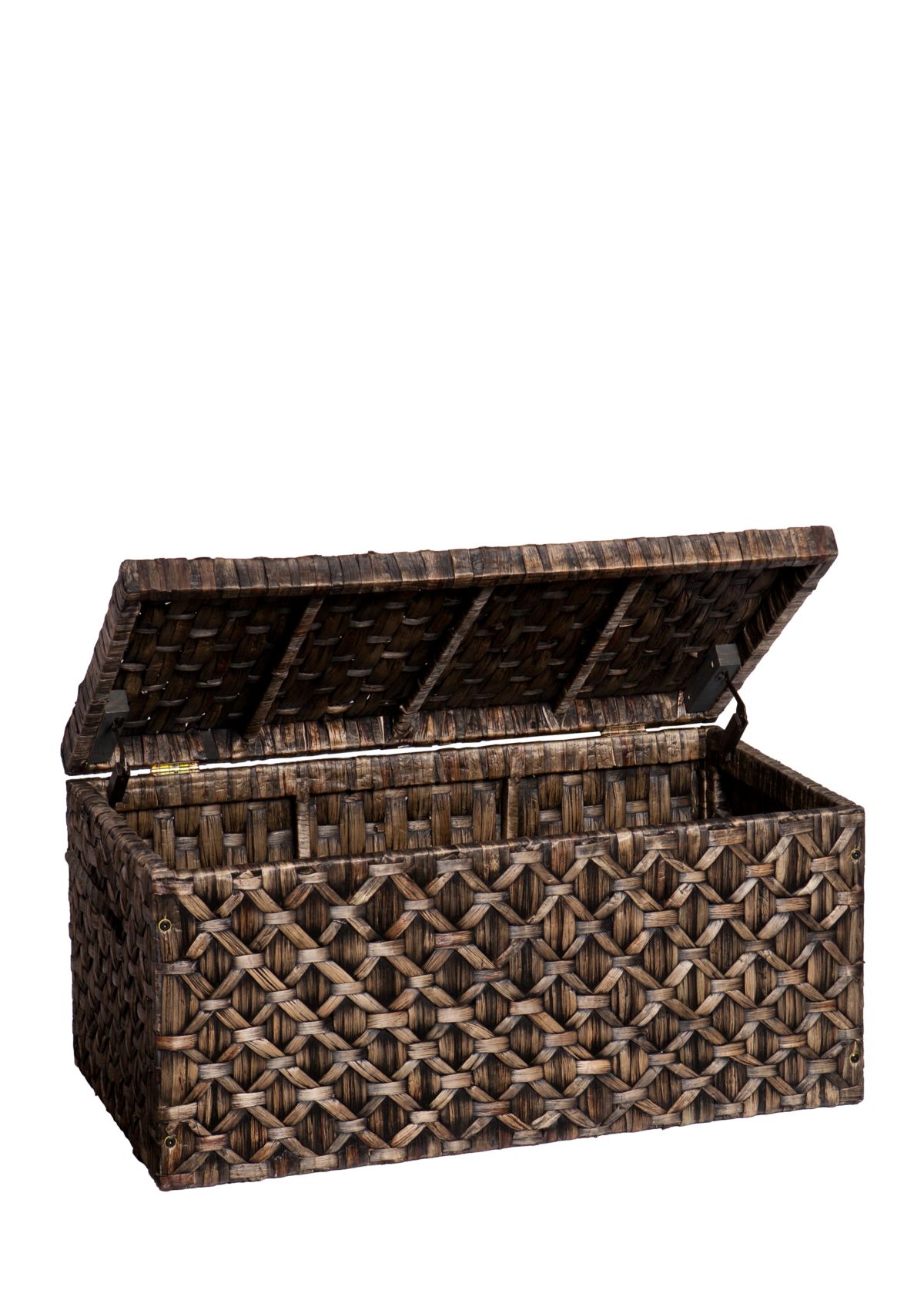 Southern Enterprises Water Hyacinth Storage Trunk | Belk