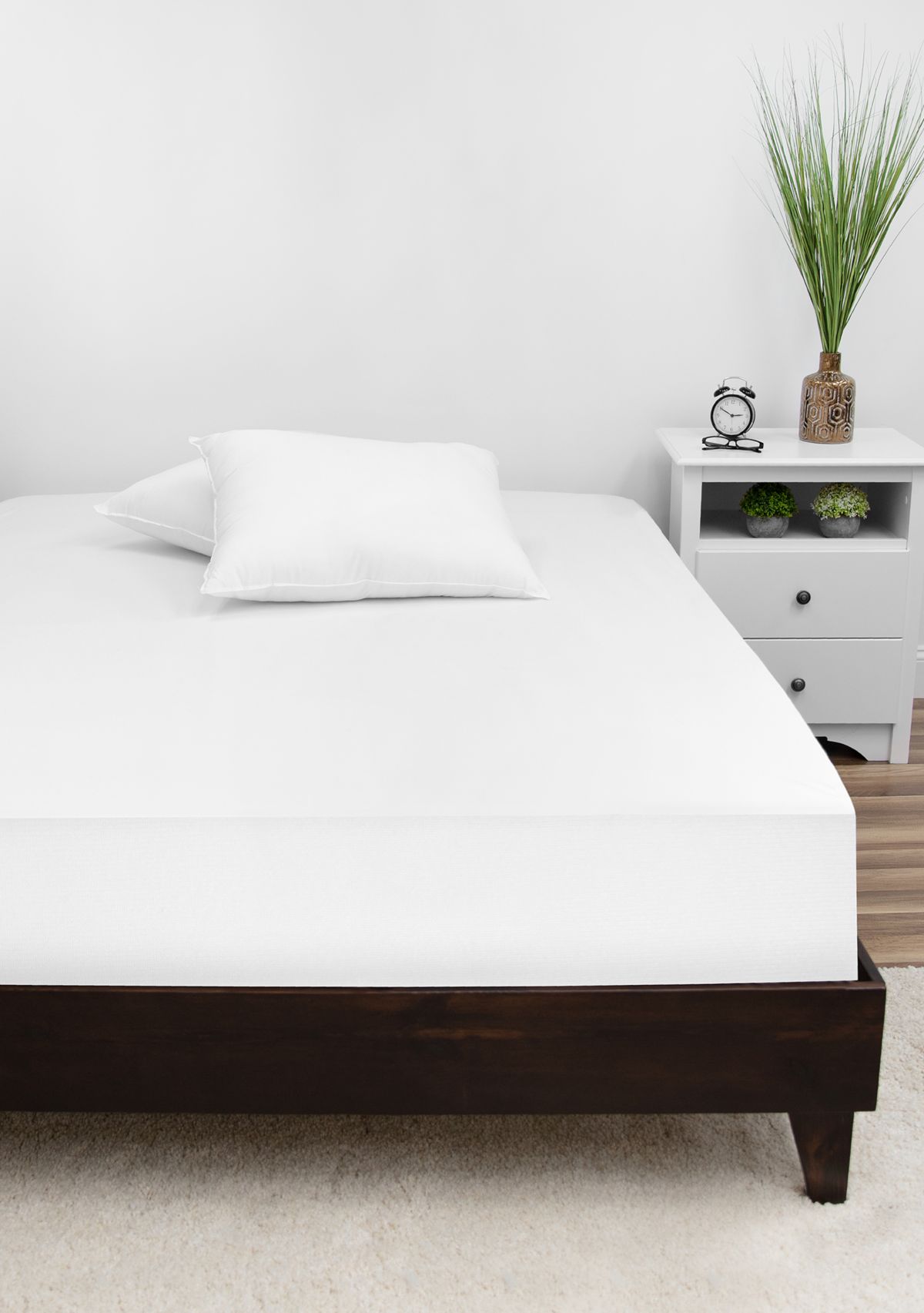 Belk Bed Bugs