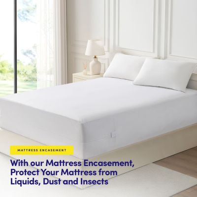 Belk Bed Bugs